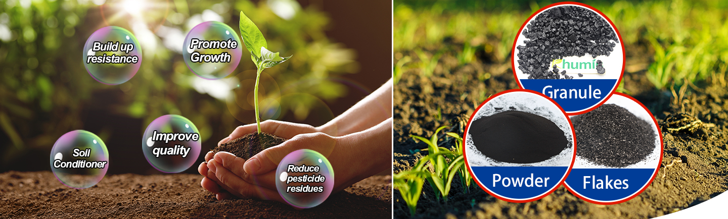 What Are The Functions Of Potassium Humate?-Zhengzhou ShengDa KHUMIC ...